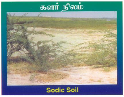Resource Management :: Soil :: Soil Related Constraints