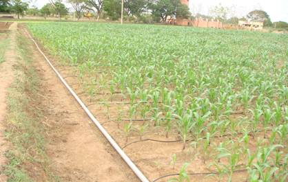 Nutrient Management :: Fertigation