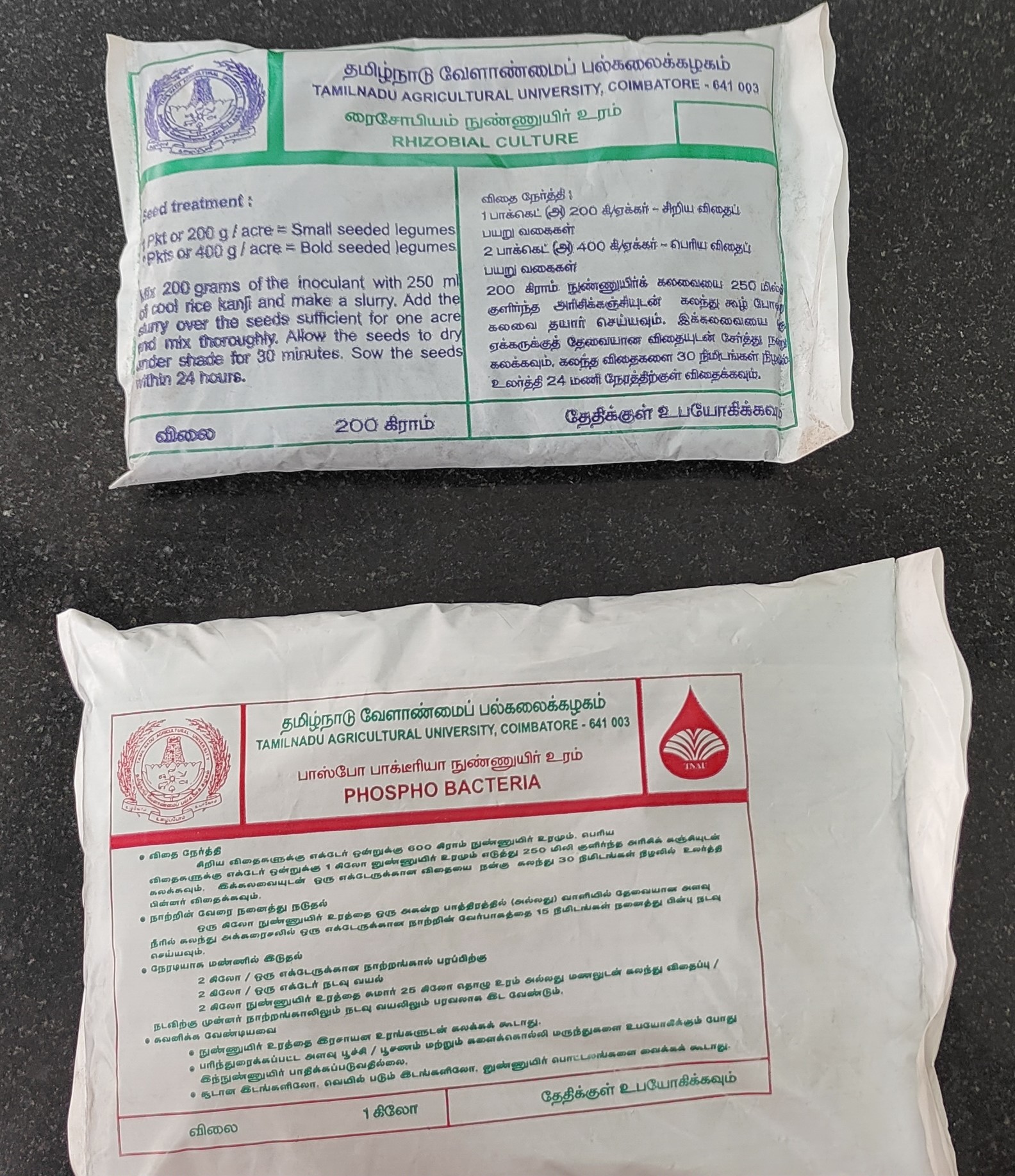 Crop Production :: Oil Seeds:: Gingelly