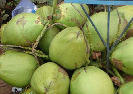 Index of /agriculture/images