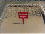 Tillage :: An Introduction