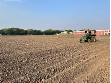 Maize Characteristics of hybrids