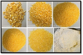 TNAU Agritech Portal :: Post Harvest Technology