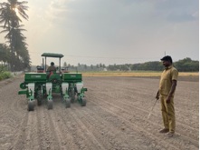 Maize Characteristics of hybrids