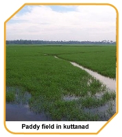 Cultivation Practices >> Main field Preparation