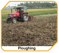 Cultivation Practices >> Main field Preparation