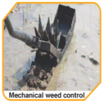 Cultivation Practices