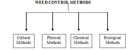 Cultivation Practices