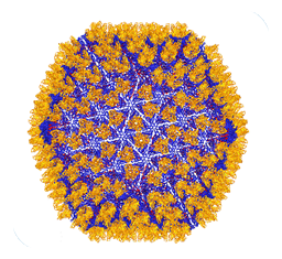 Disease Control And Management