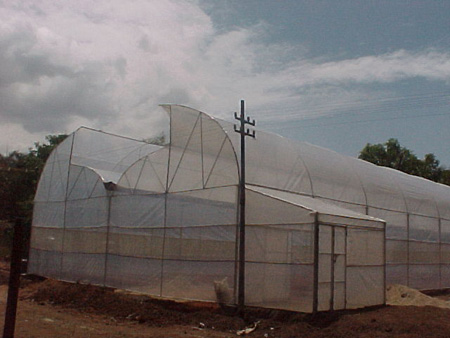 Covering polyhouse with clading material stage VII