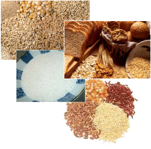 TNAU Agritech Portal Post Harvest Technology