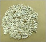 Seed :: Fibre :: cotton