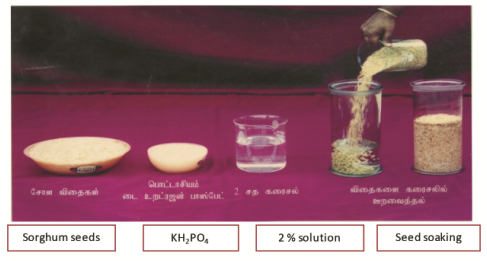 Seed Treatment :: Special