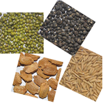 Seed Science and Technology :: Home Page