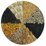 Seed Science and Technology :: Home Page